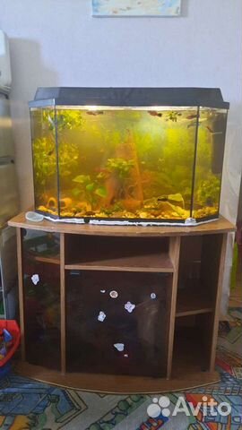 Аквариум 130 литров