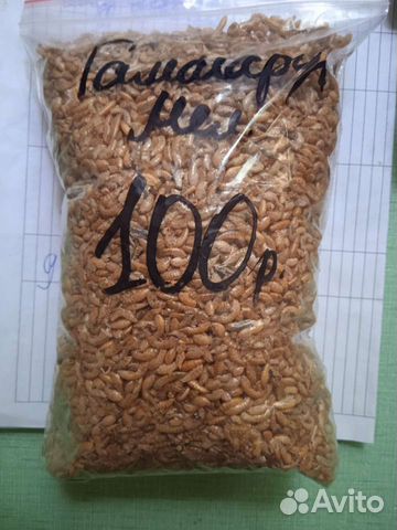 Корм для рыб