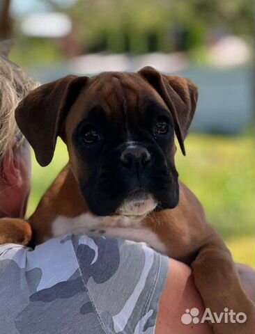 Рыжая девченка