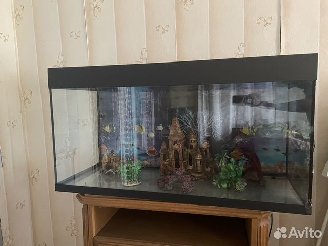 Аквариум