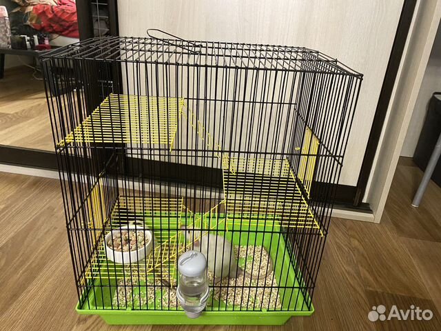 Крыса и клетка