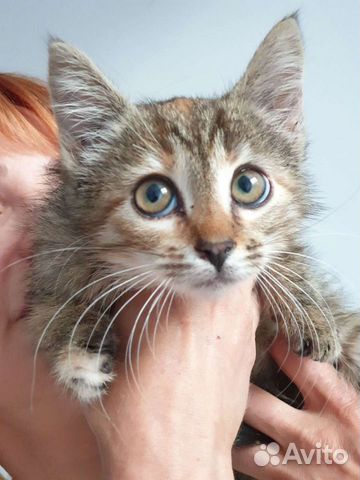 Мне некуда идти