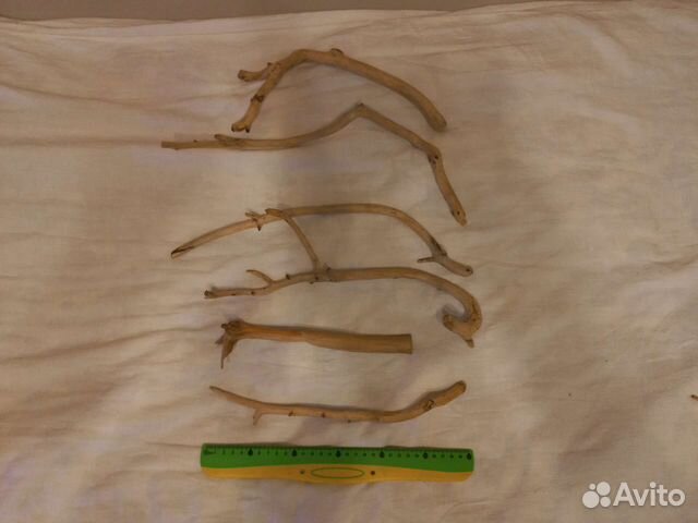 Коряга в аквариум