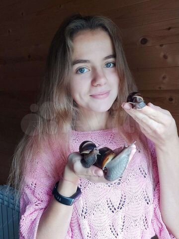 Возвращение милейших ахатин, обожающих купаться