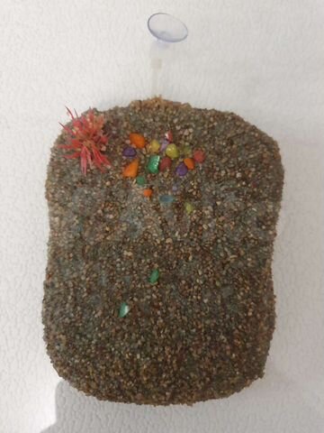 Мостик для черепахи