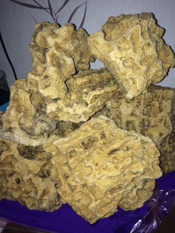 Компрессор, Инкубатор, Песчаник
